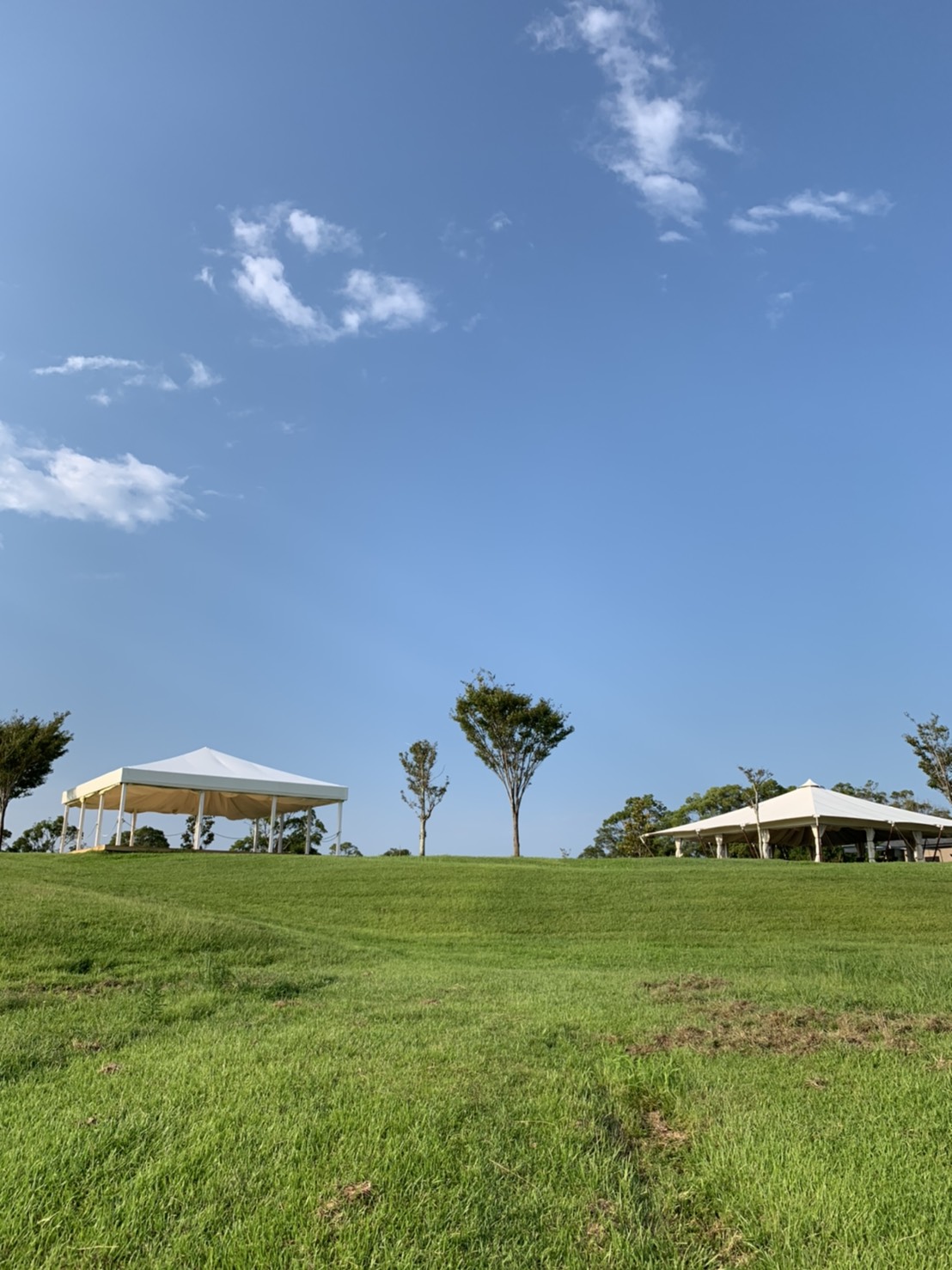 ネムリゾートの口コミや旅行記ブログに激レア情報を発見！プールやゴルフ等のアクティビティの注意点も！│旅ソム｜旅行のソムリエ